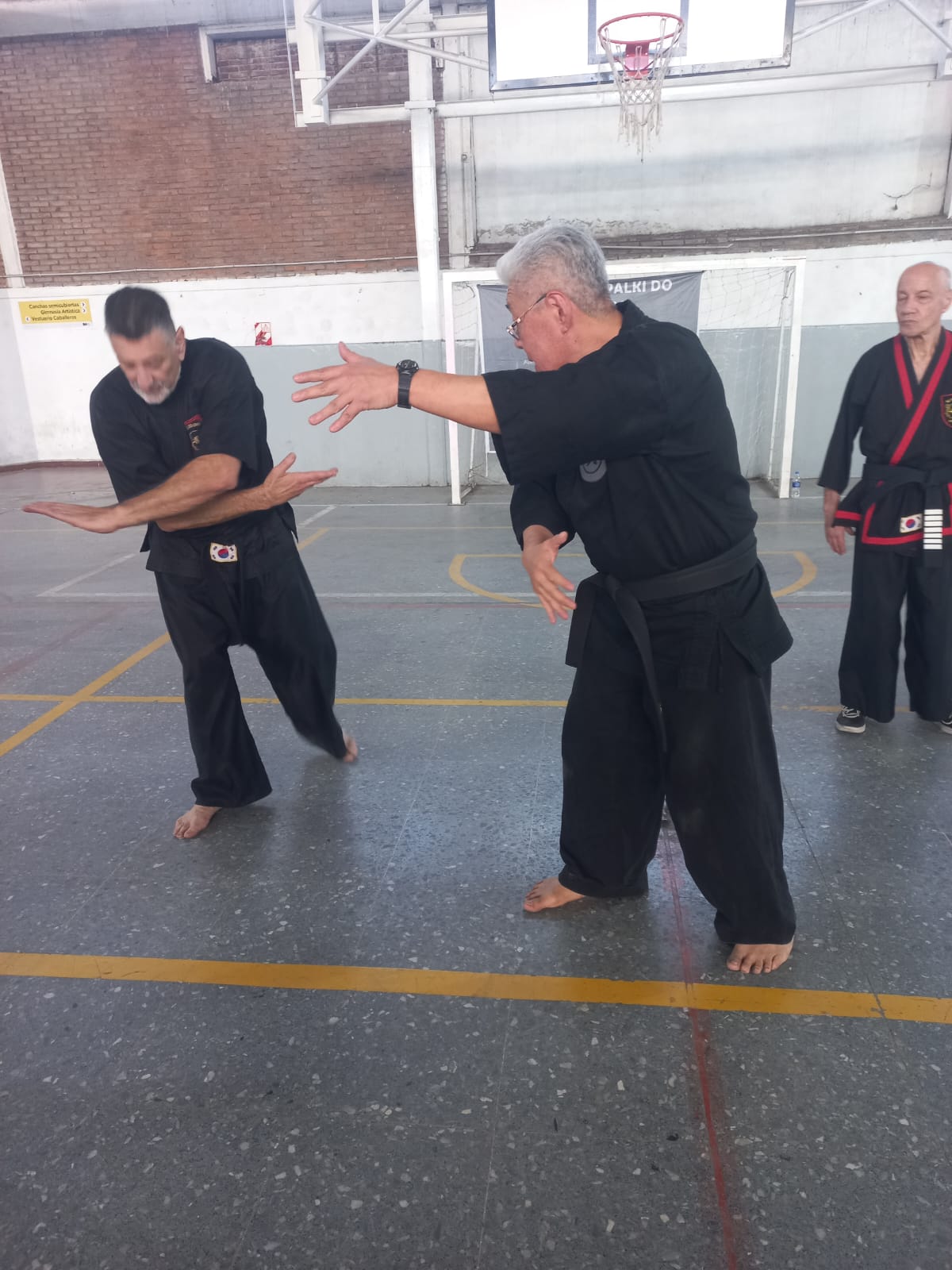 GRAND MASTER YOO SOO NAM 2025 – SIPALKI-DO